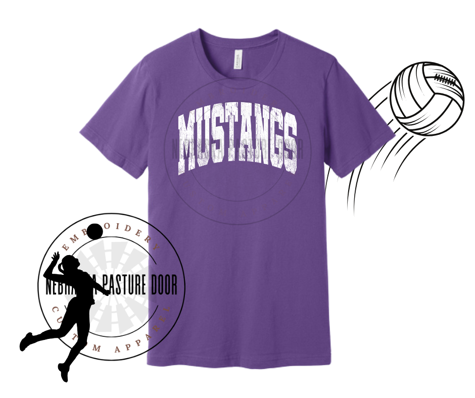 Mustangs Retro – Nebraska Pasture Door